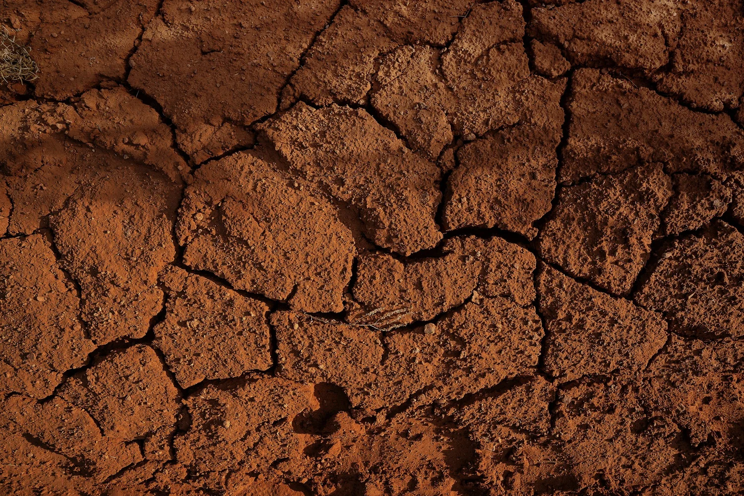 Soil Sampling & Testing WA | Contaminated Land & Agricultural Analysis ...