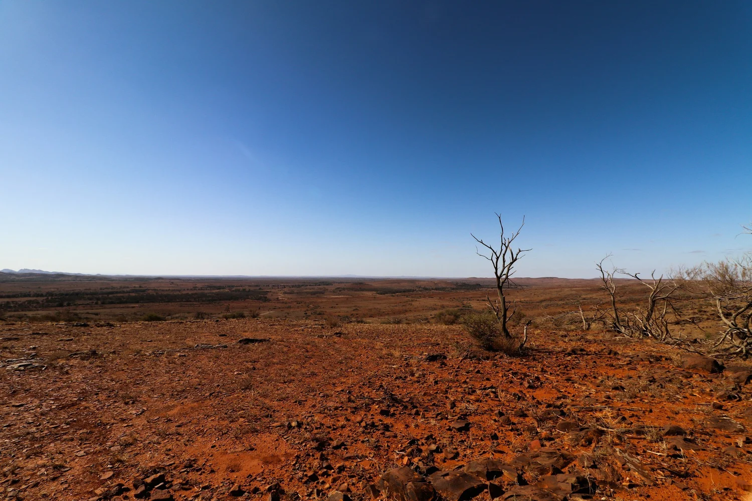 Soil Sampling & Testing WA | Contaminated Land & Agricultural Analysis ...
