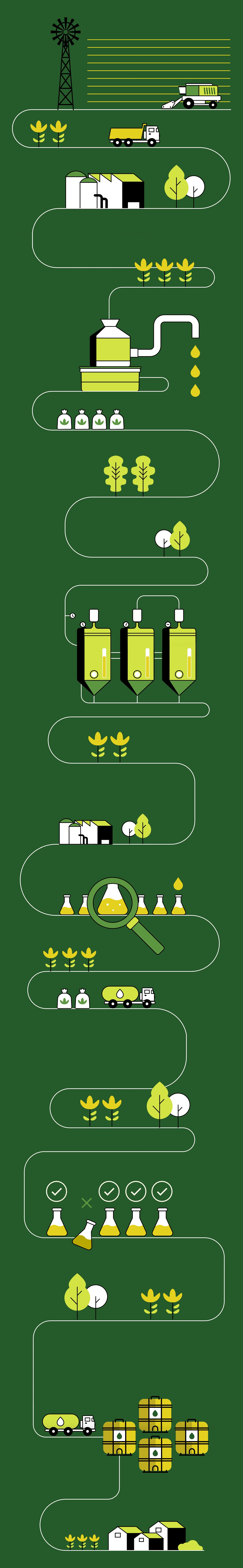 The Canola Process — Riverina Oils