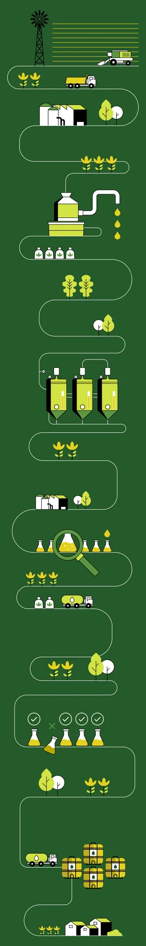 The Canola Process — Riverina Oils