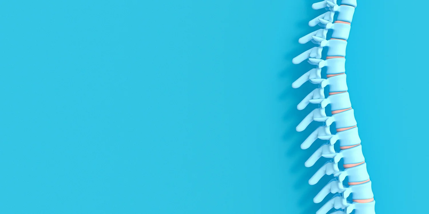 Kyphosis Humpback Spinal Condition — Momentum Spine | Mr Ali Humadi ...