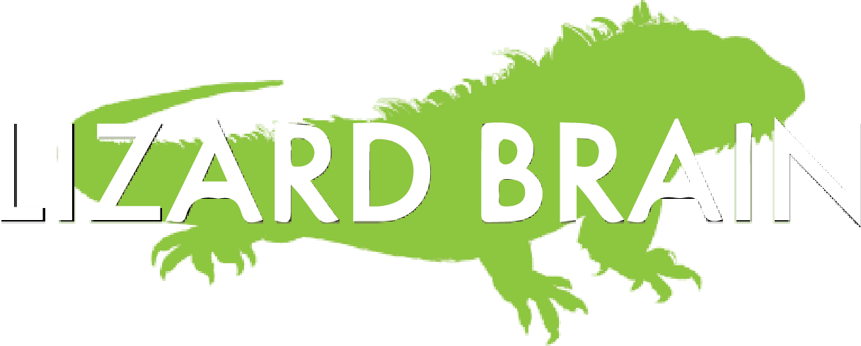 How to Deliver a Chart Talk — Lizard Brain