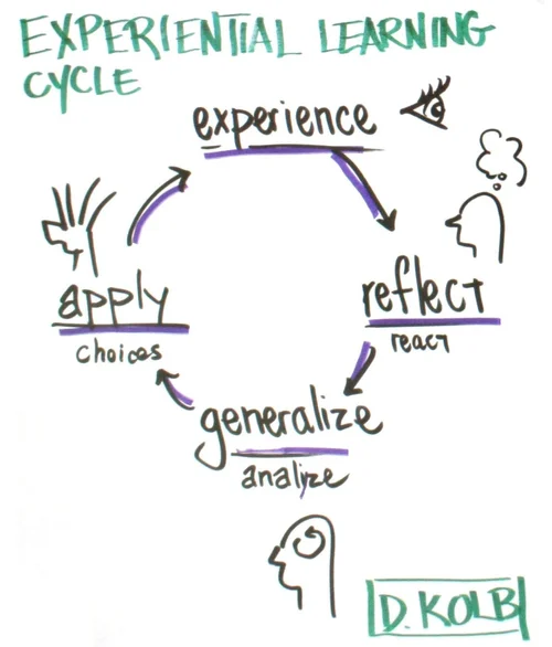 Discover the Power of Experiential Learning — Lizard Brain
