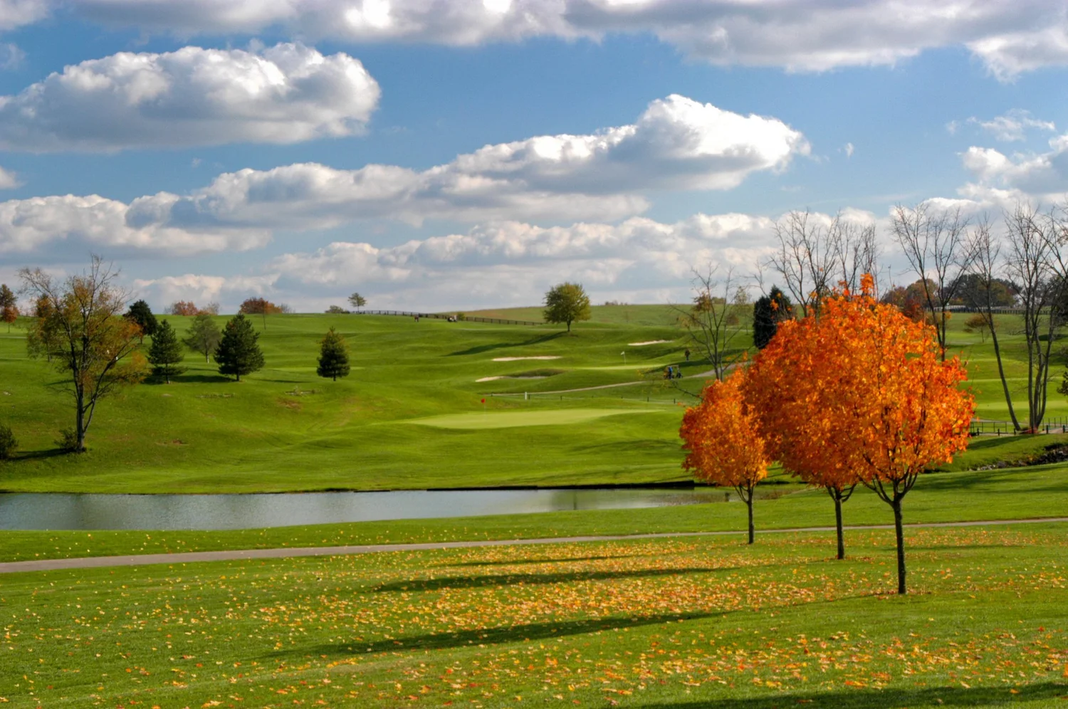 Gibson Bay Golf Club — The Kentucky Golf Trail