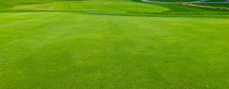 The Kentucky Golf Trail