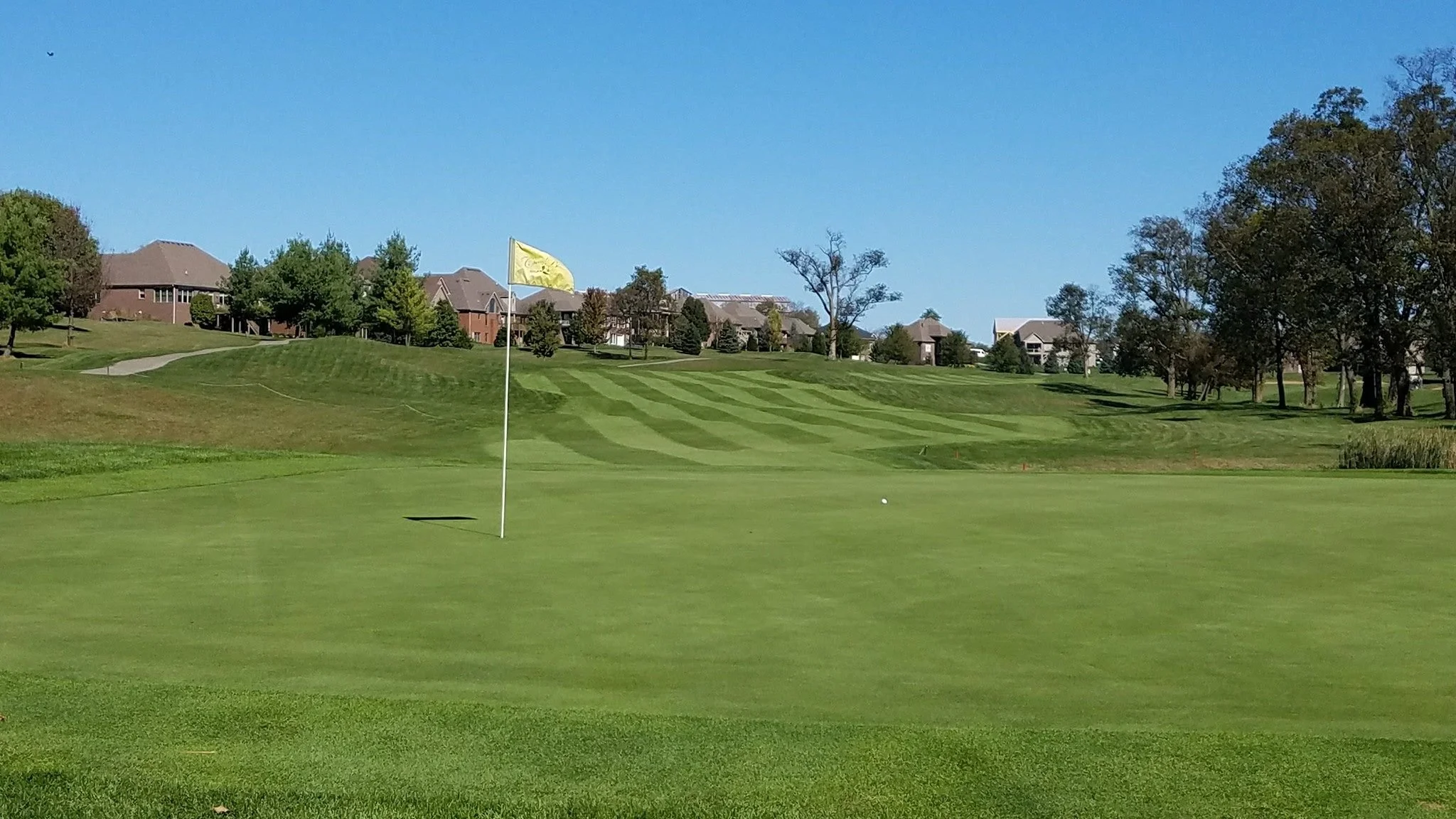 Cherry Blossom — The Kentucky Golf Trail