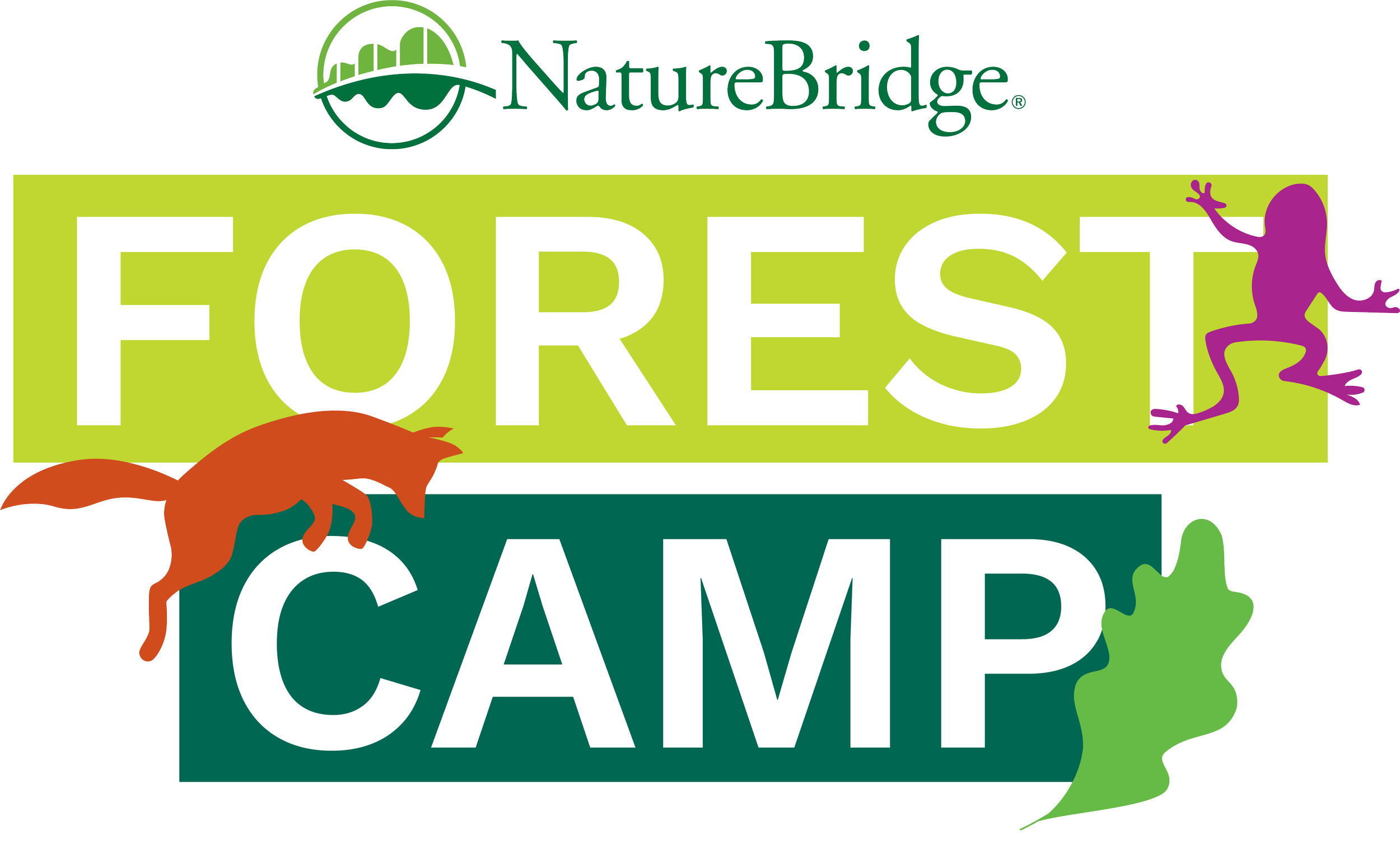 Forest Camp