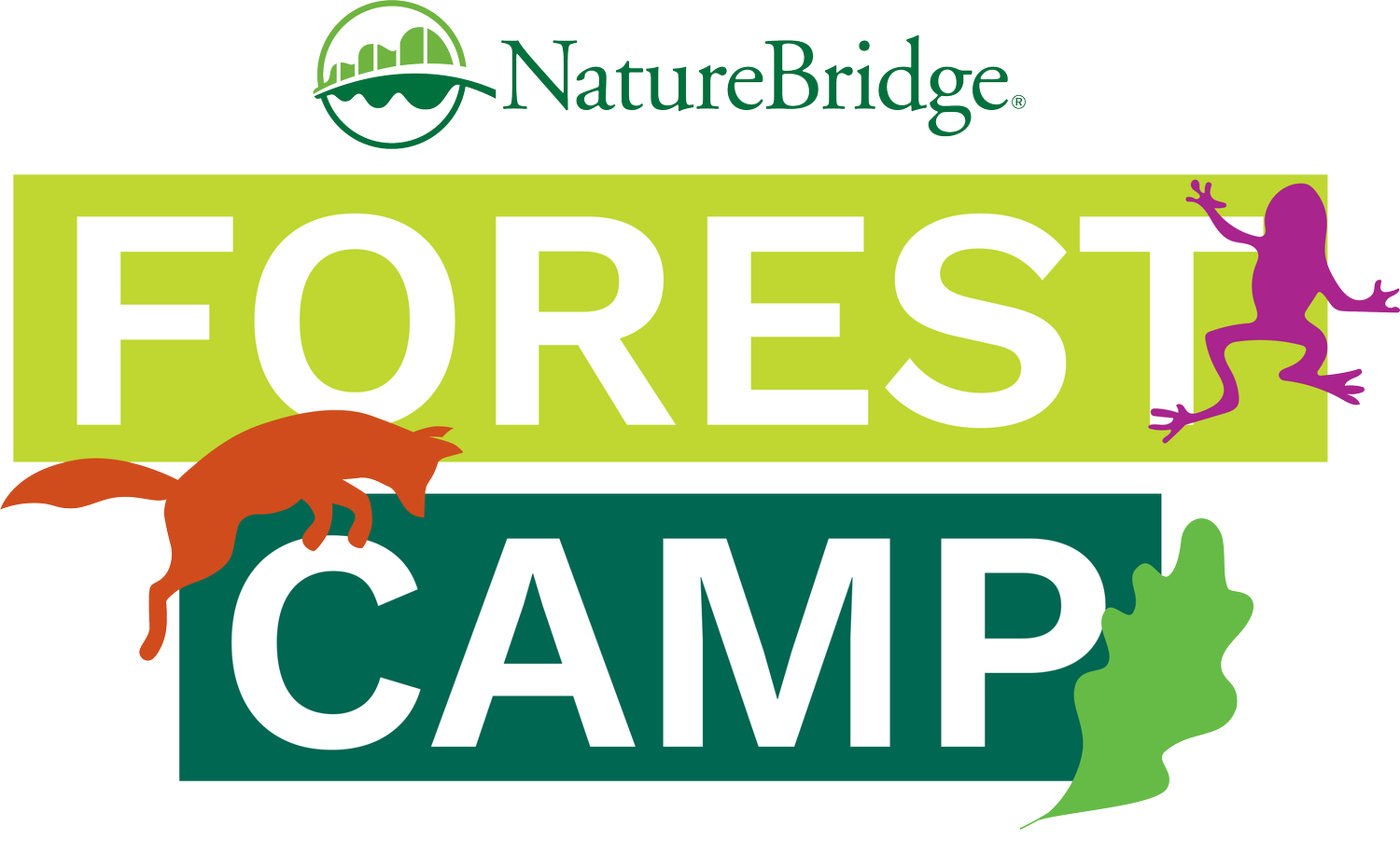 Forest Camp