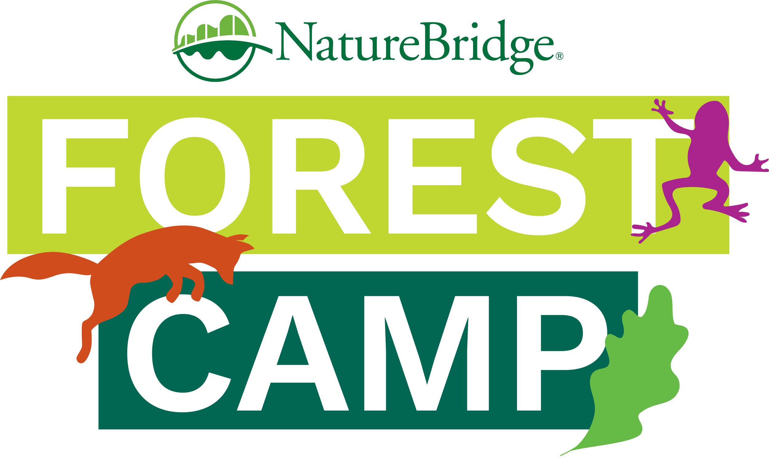 Forest Camp