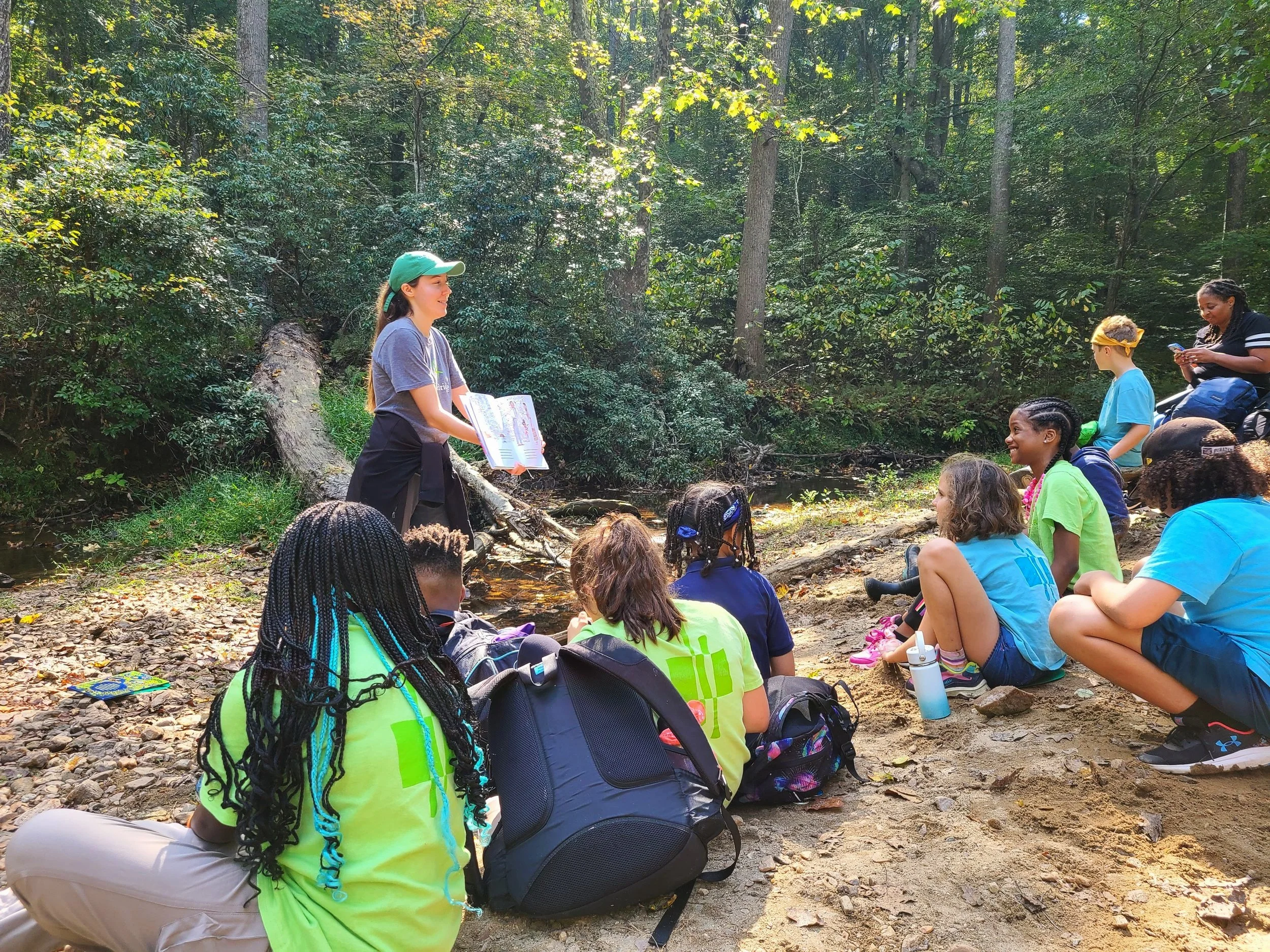 Forest Camp