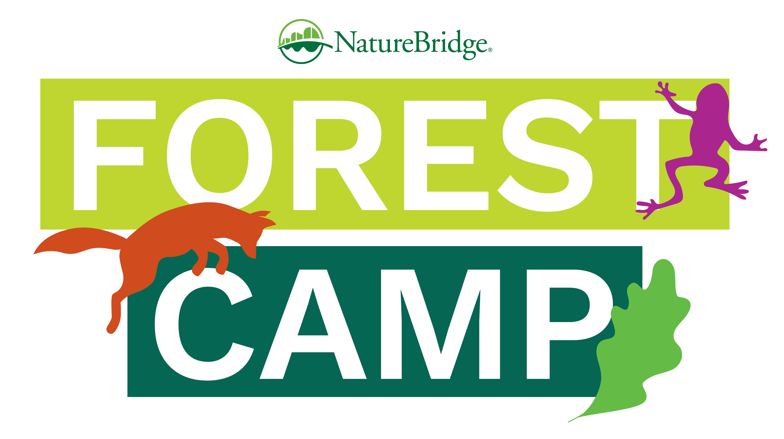 Forest Camp