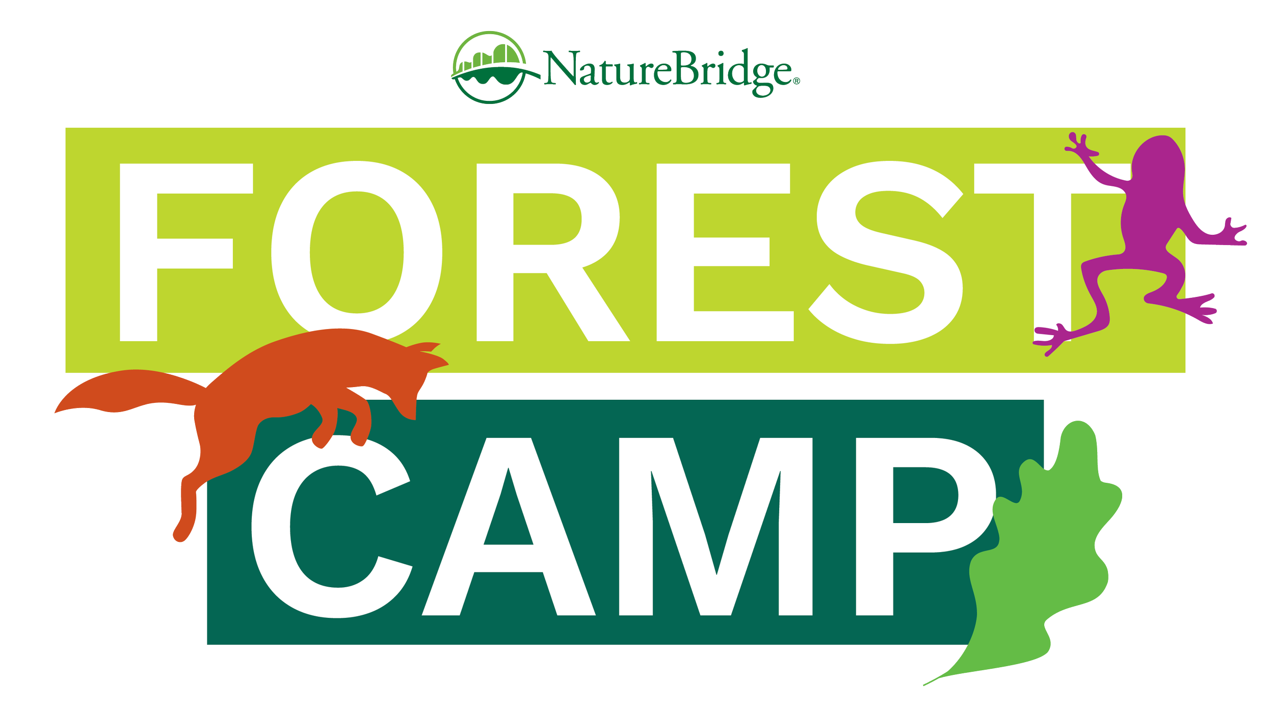 Forest Camp