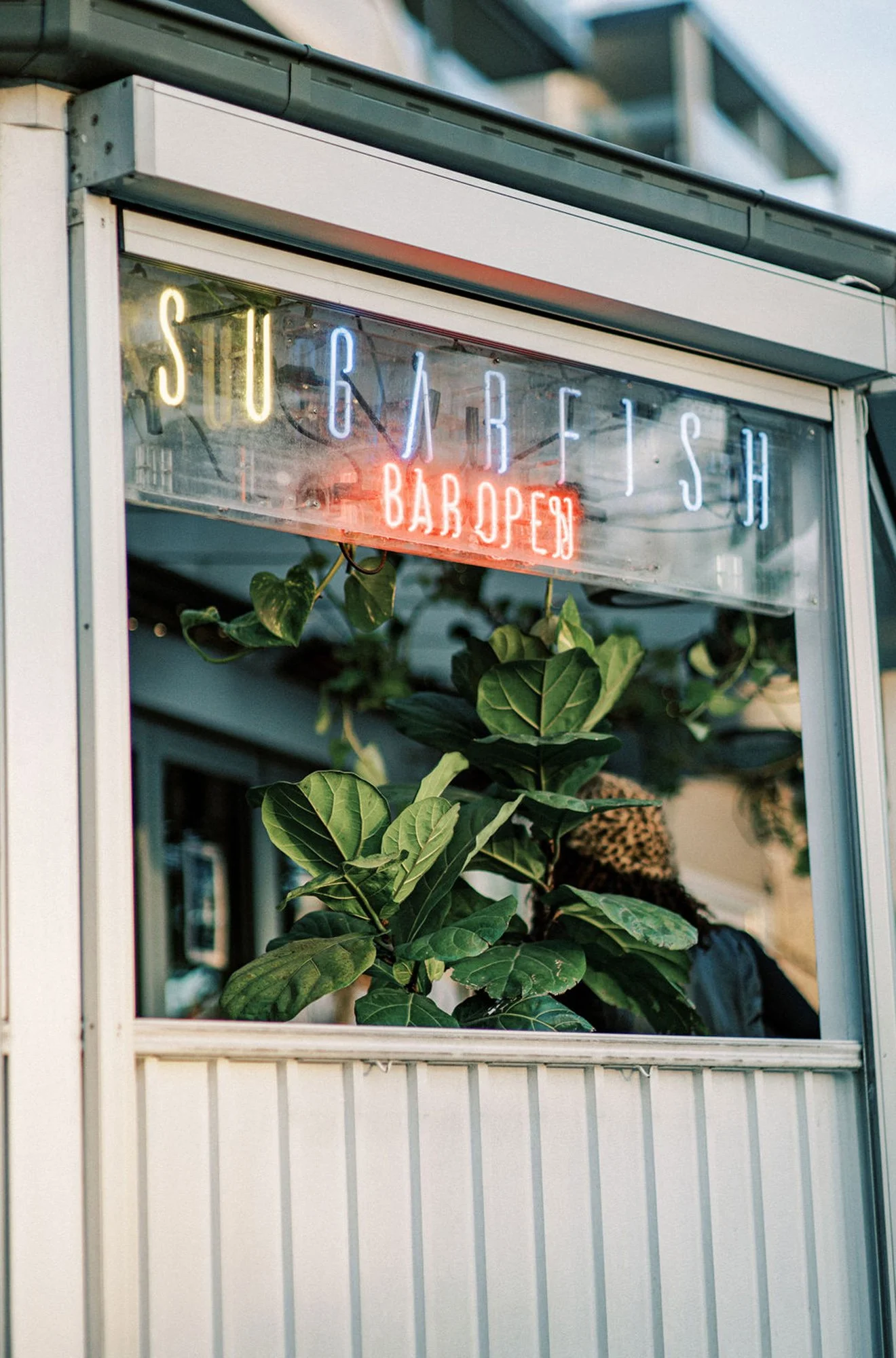 Restaurant & Cocktail Bar in Manly with Water Views | Best Seafood ...