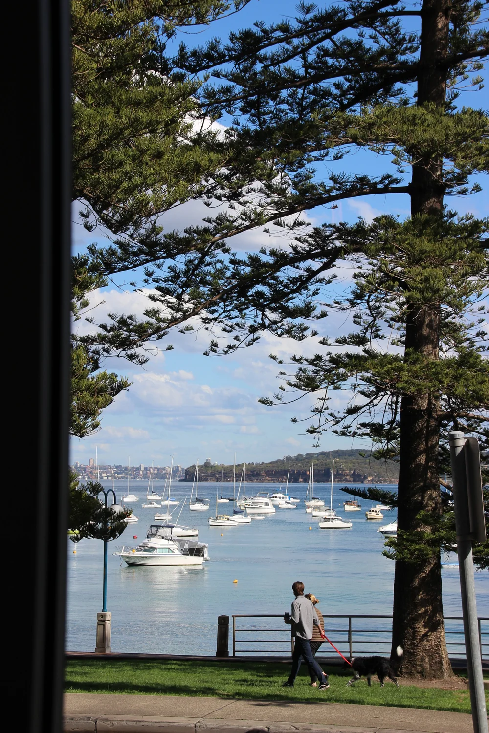 Restaurant & Cocktail Bar in Manly with Water Views | Best Seafood ...
