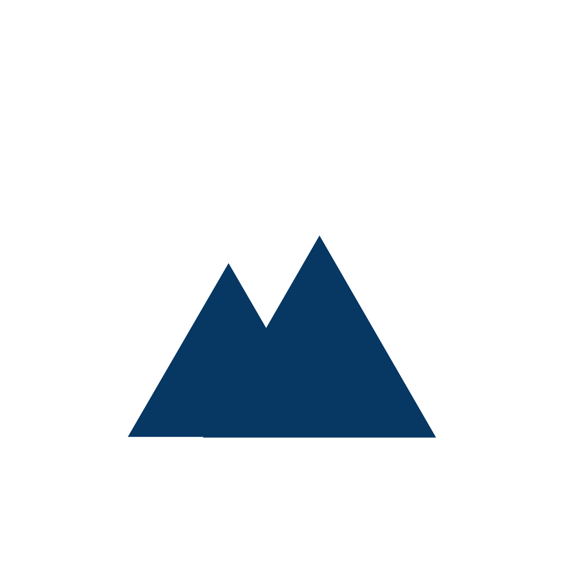 Alpine Partners