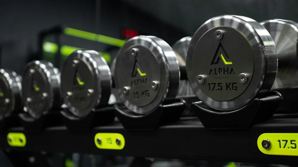 How to Use a MAG Grip: A Guide to Maximising Your Back Workout — ALPHA ...