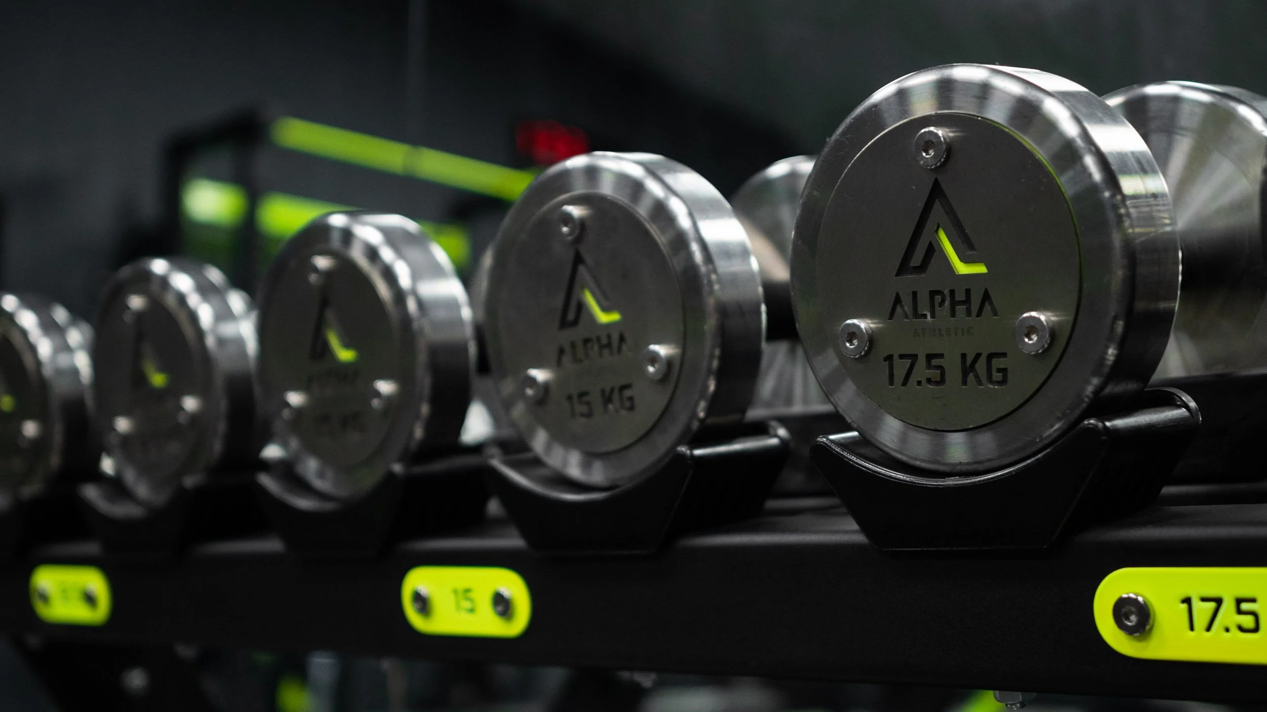 How to Use a MAG Grip: A Guide to Maximising Your Back Workout — ALPHA ...