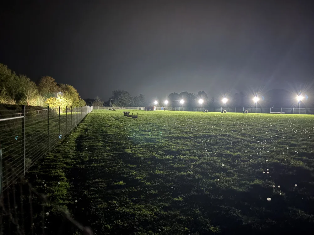 Warren Dog Park