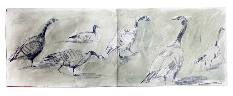 sketchbooks — Laura McKendry