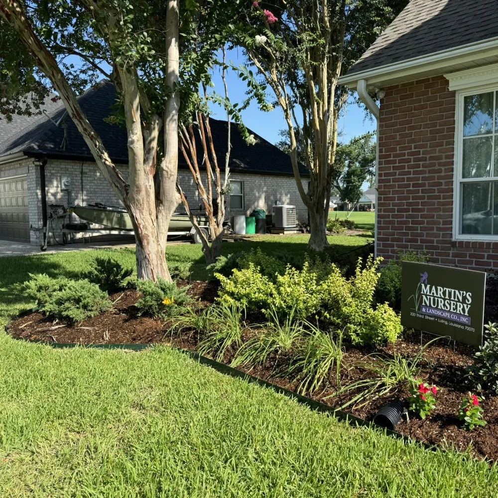 Martin's Landscaping | Transform Your Outdoors Today