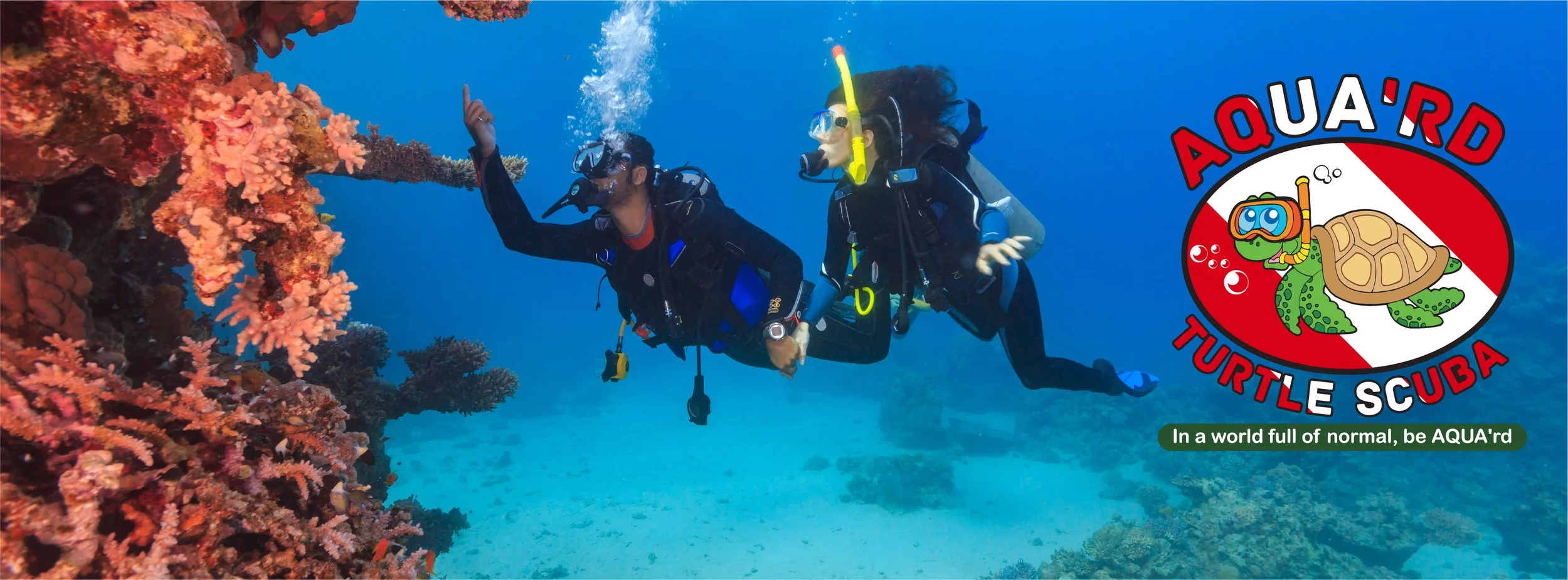 AQUA'rd Turtle Scuba | Scuba Shop & Training in Diamond, MO