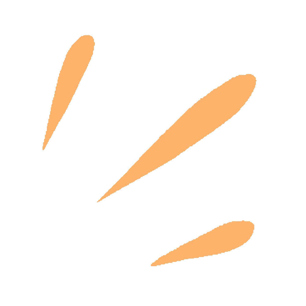 The Financial Diet | Advisor