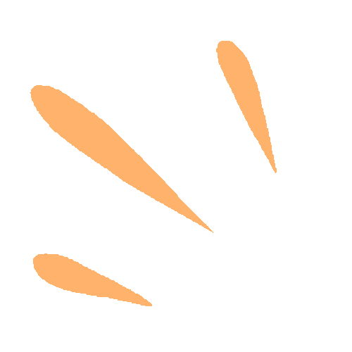 The Financial Diet | Advisor