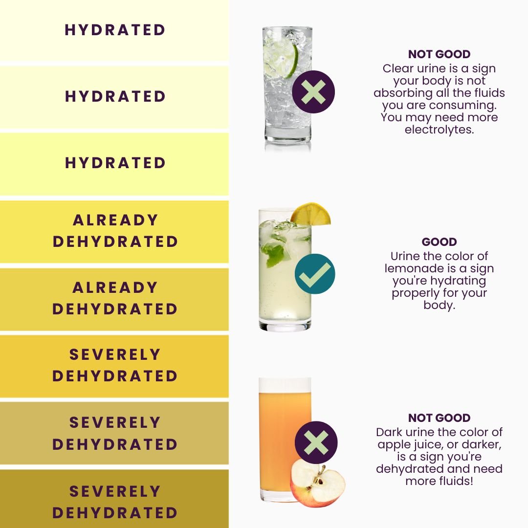 Hydration FAQs — GracesGrit