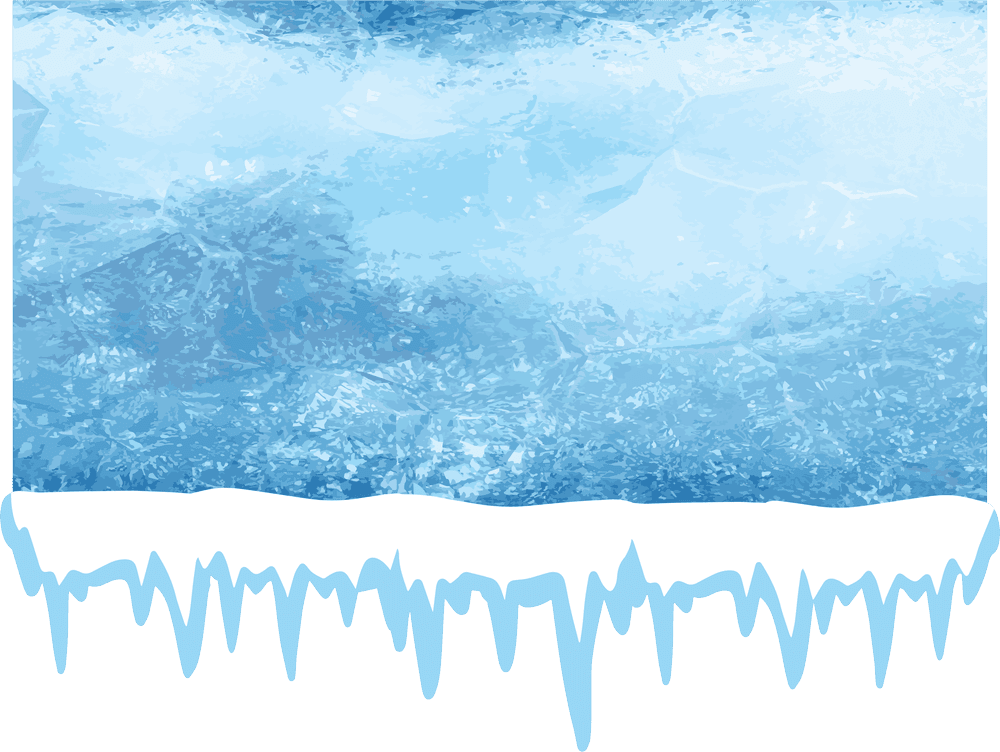 Polar Plunge - Special Olympics Missouri