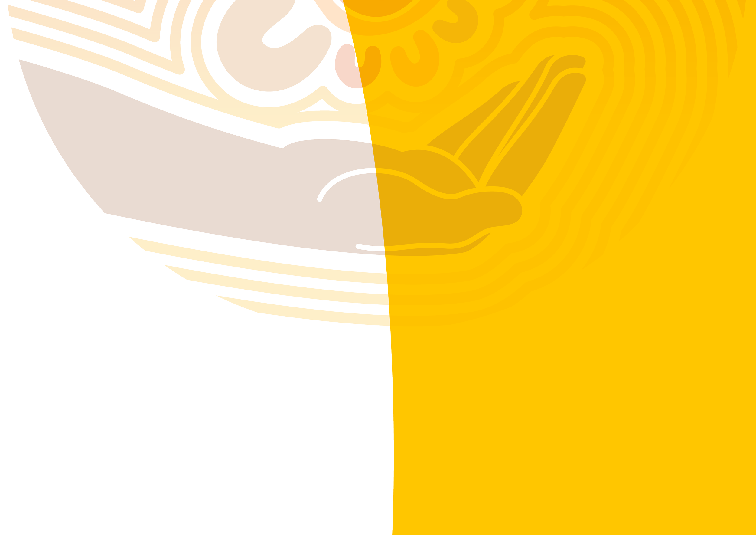 Strategic Overview | Empower Indigenous Education — PYEC