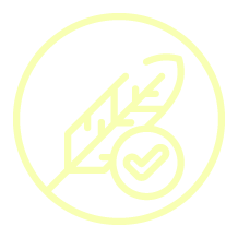 Waterless Skincare and Personal Care Products | Waterless by F6