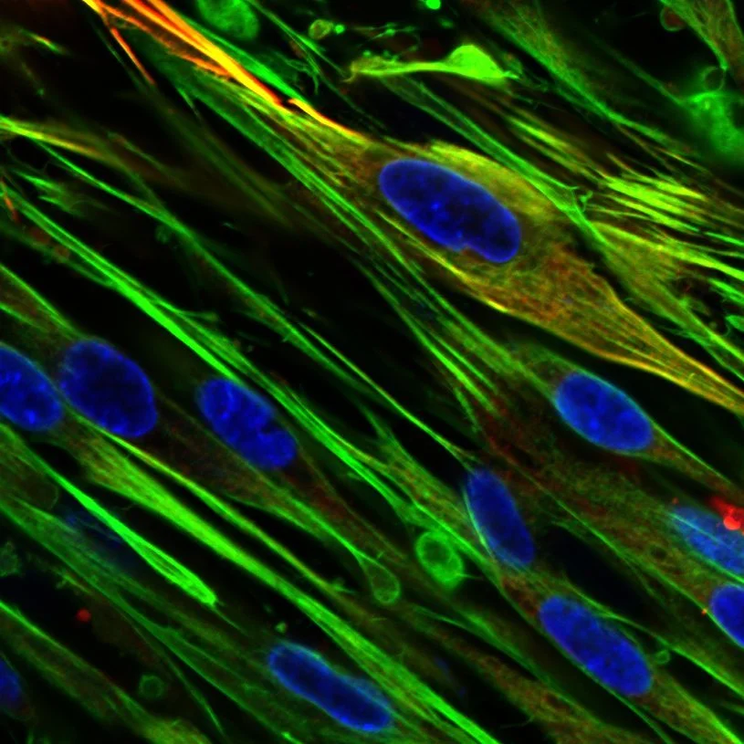 Tessella Biosciences
