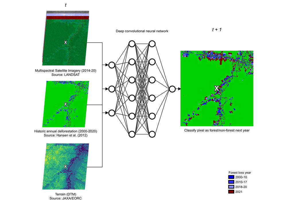 Deforestation forecasting — forestmap.ai: AI powered forest insights designed for action.