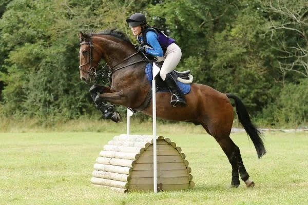 Oxford University Equestrian Club