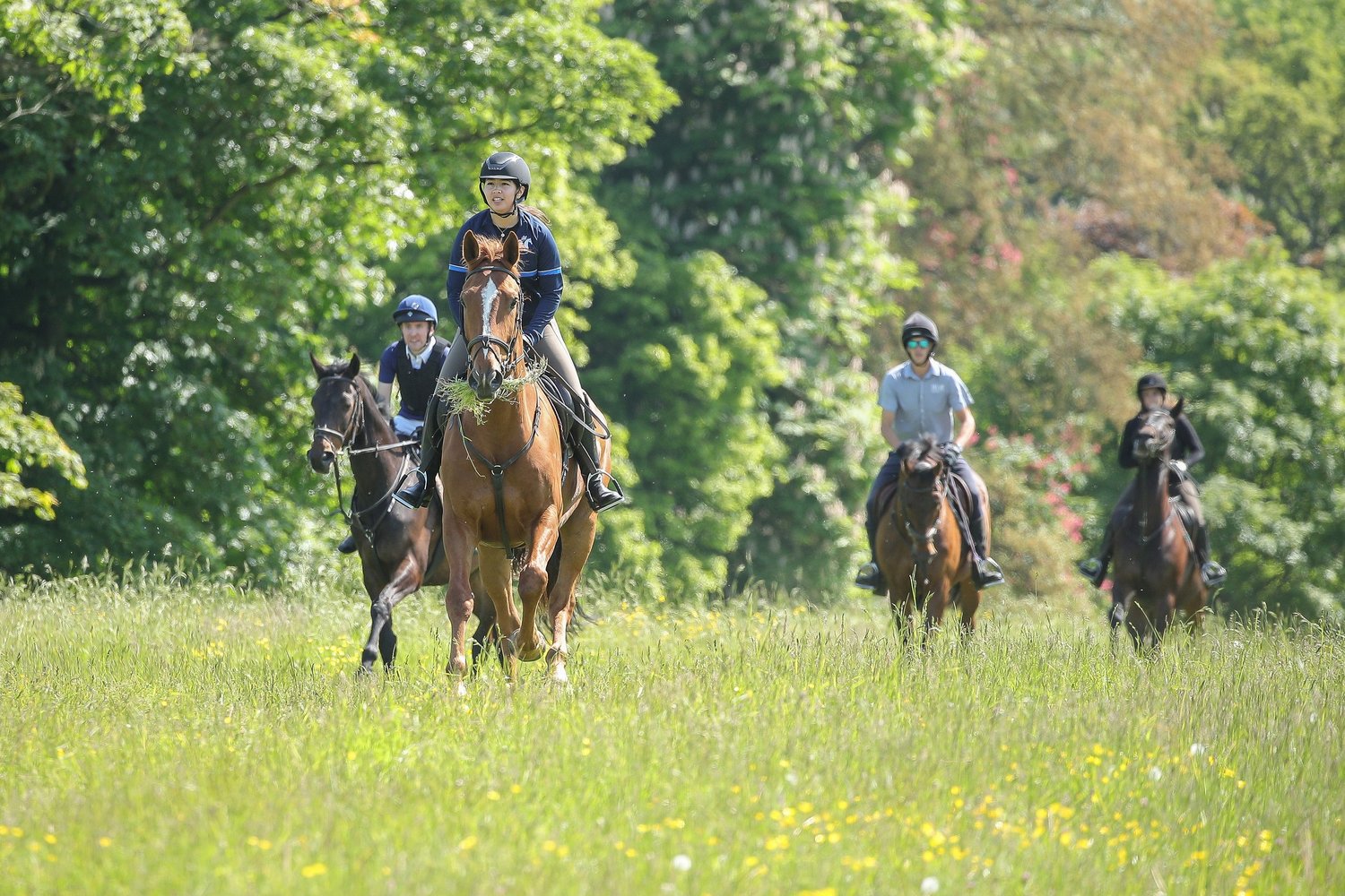 Oxford University Equestrian Club