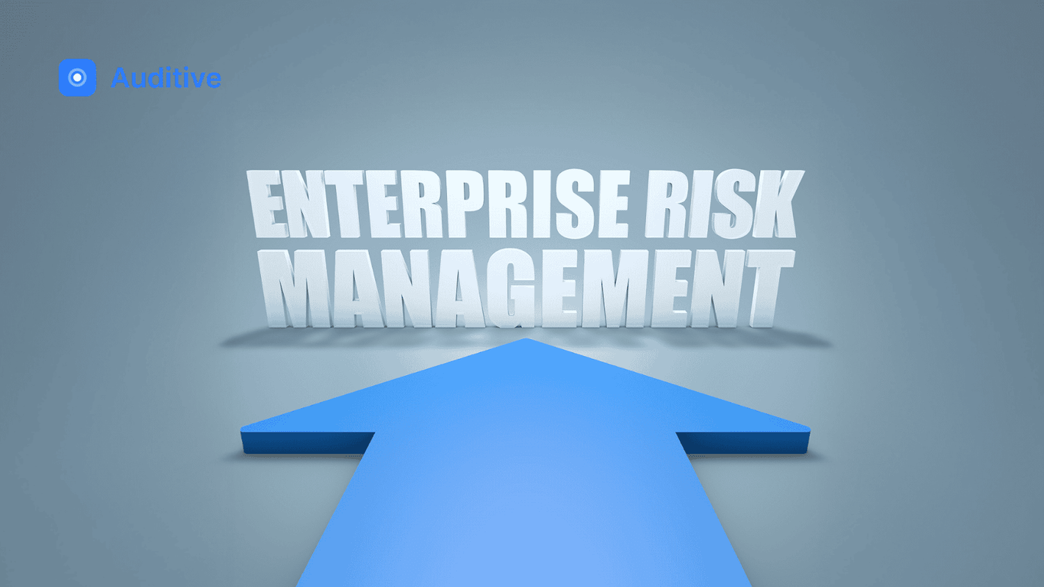 Comprehensive Guide to Enterprise Risk Management Assessments — Auditive