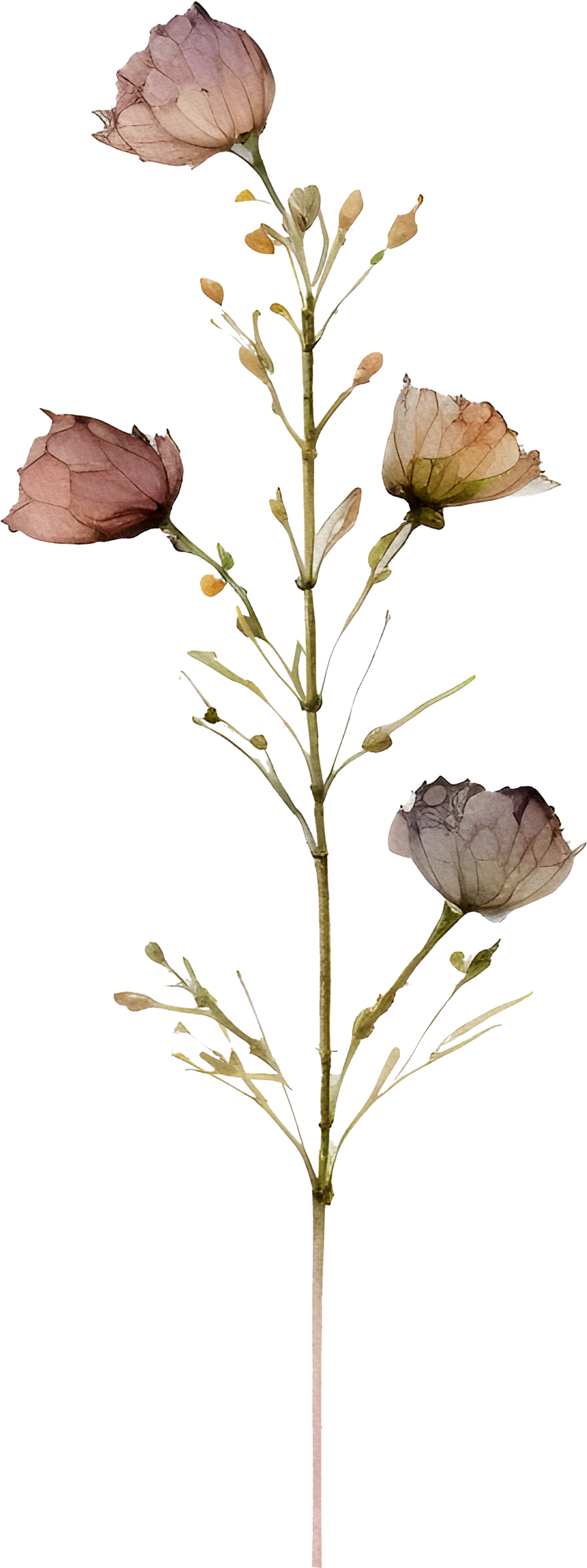 Global Titanium Mining and Processing: Environmental and Social Impacts ...