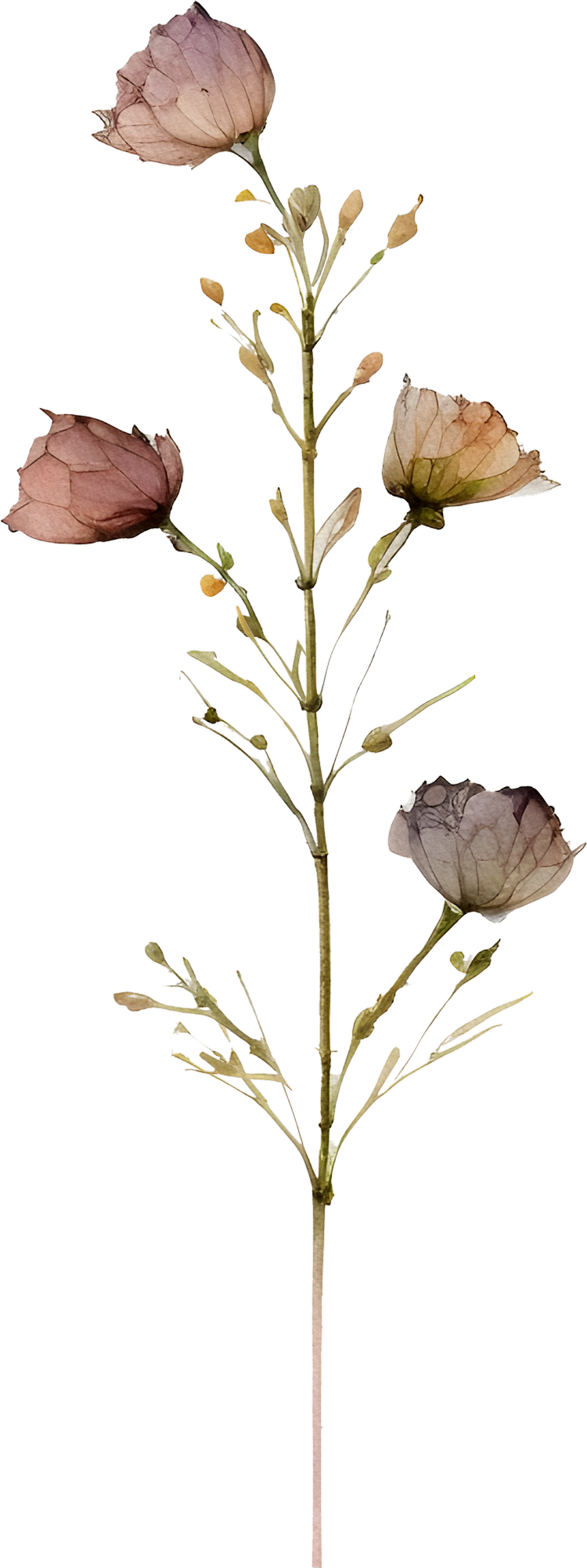 Global Titanium Mining and Processing: Environmental and Social Impacts ...