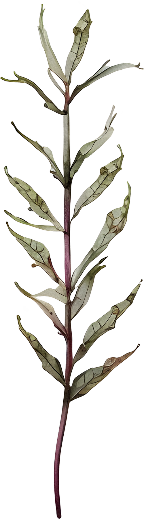 Global Titanium Mining and Processing: Environmental and Social Impacts ...