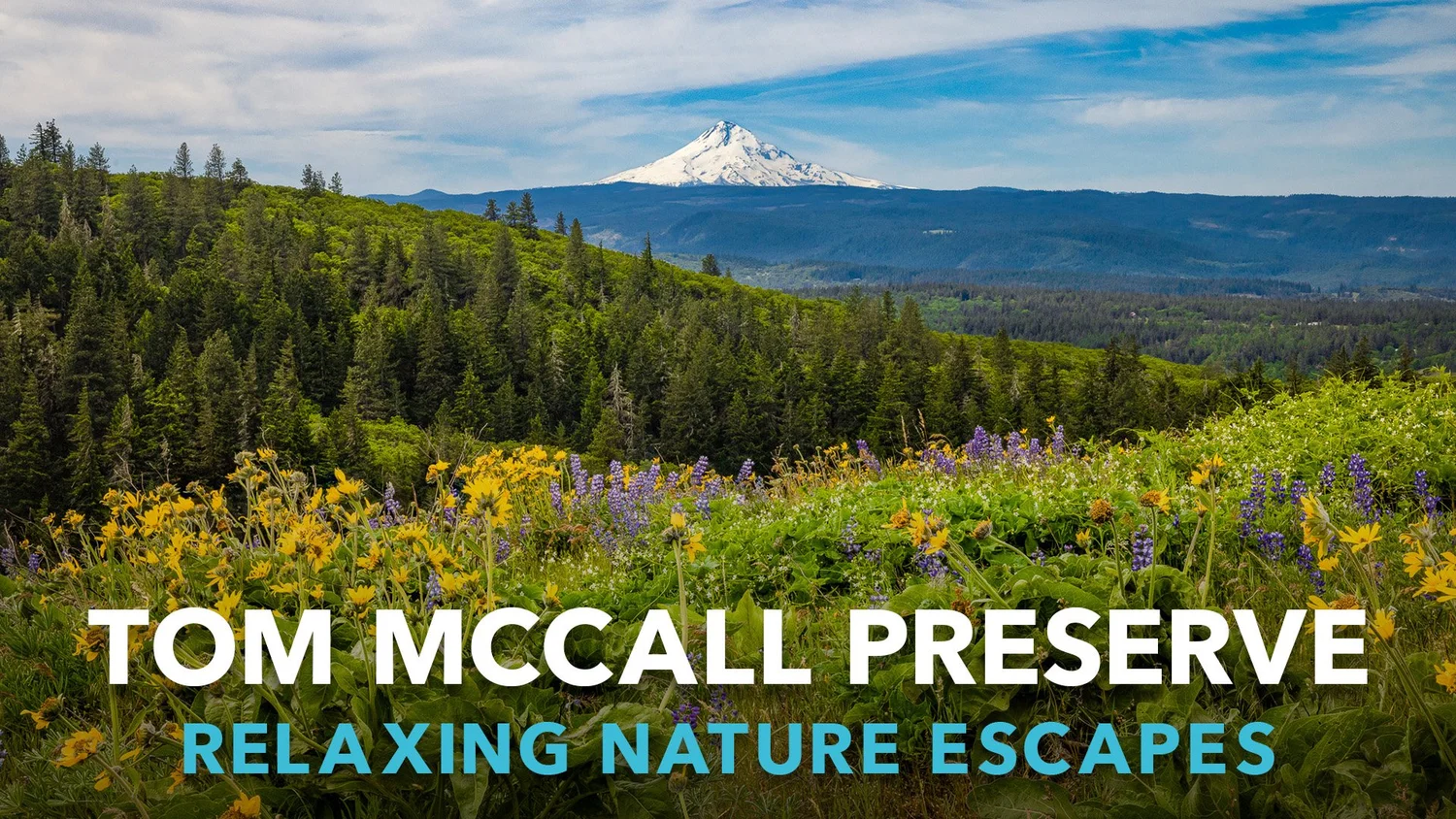 Tom McCall Point Trail | Spring Wildflowers & Mountain Views in Oregon ...