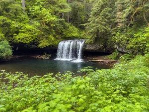 Butte Creek Falls Trail | A Lush Waterfall Loop in Oregon’s Santiam ...