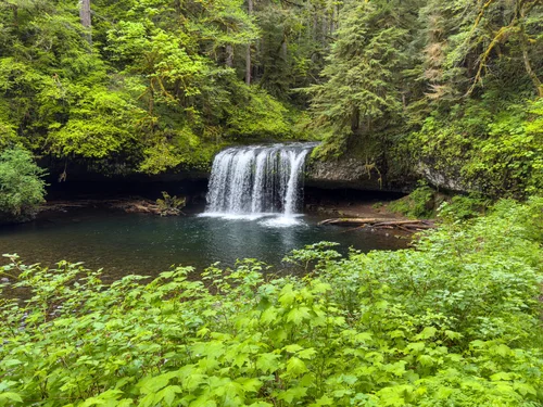 Butte Creek Falls Trail | A Lush Waterfall Loop in Oregon’s Santiam ...