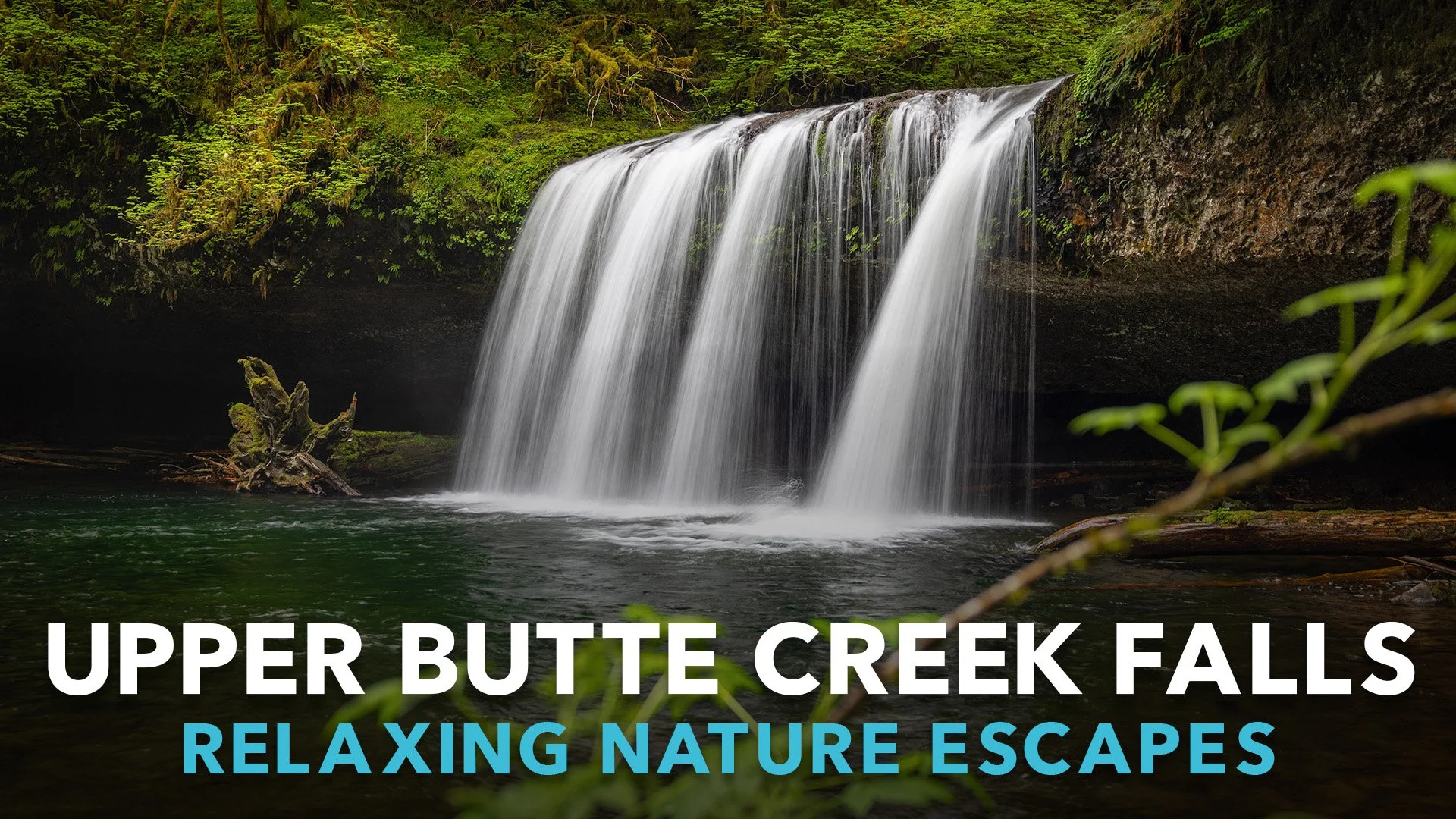 Butte Creek Falls Trail | A Lush Waterfall Loop in Oregon’s Santiam ...