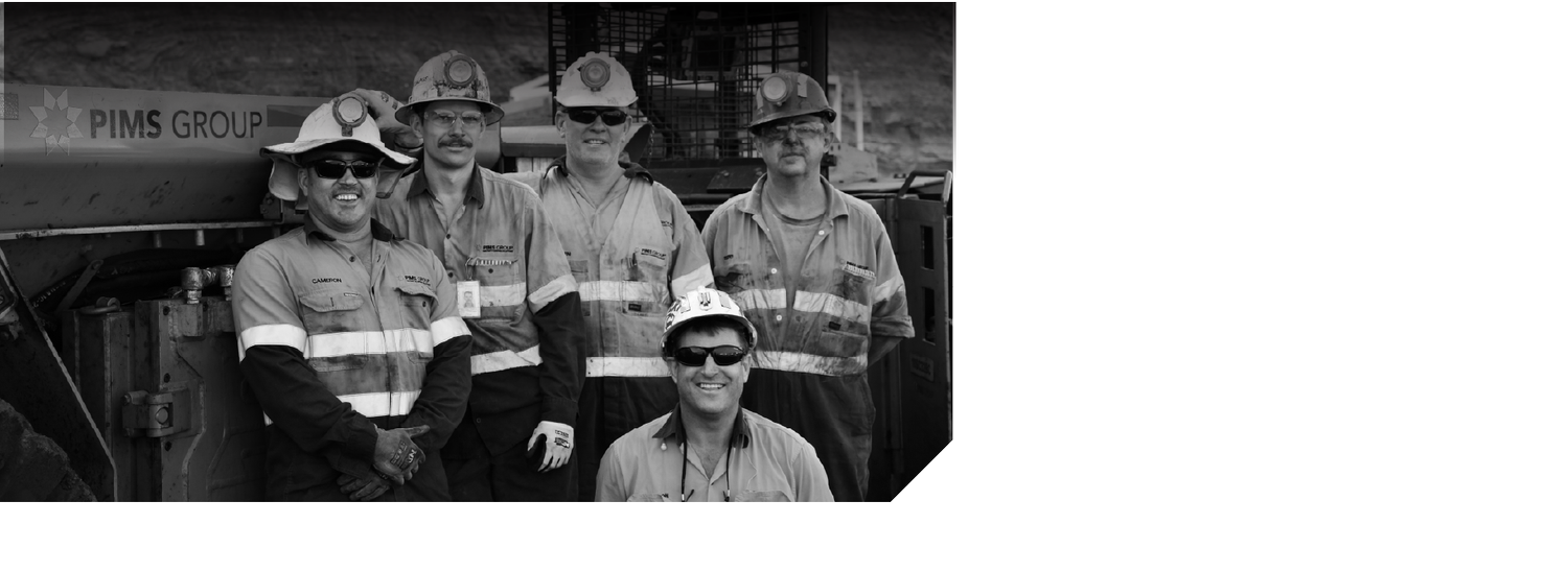 PIMS Group: Premier Mining and Services Provider — PIMS Group
