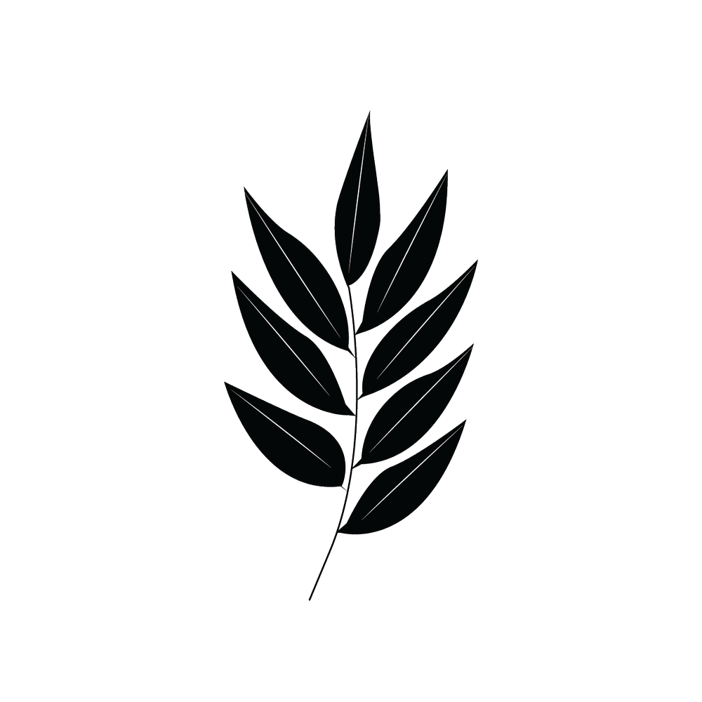 Brooklyn Curry Project