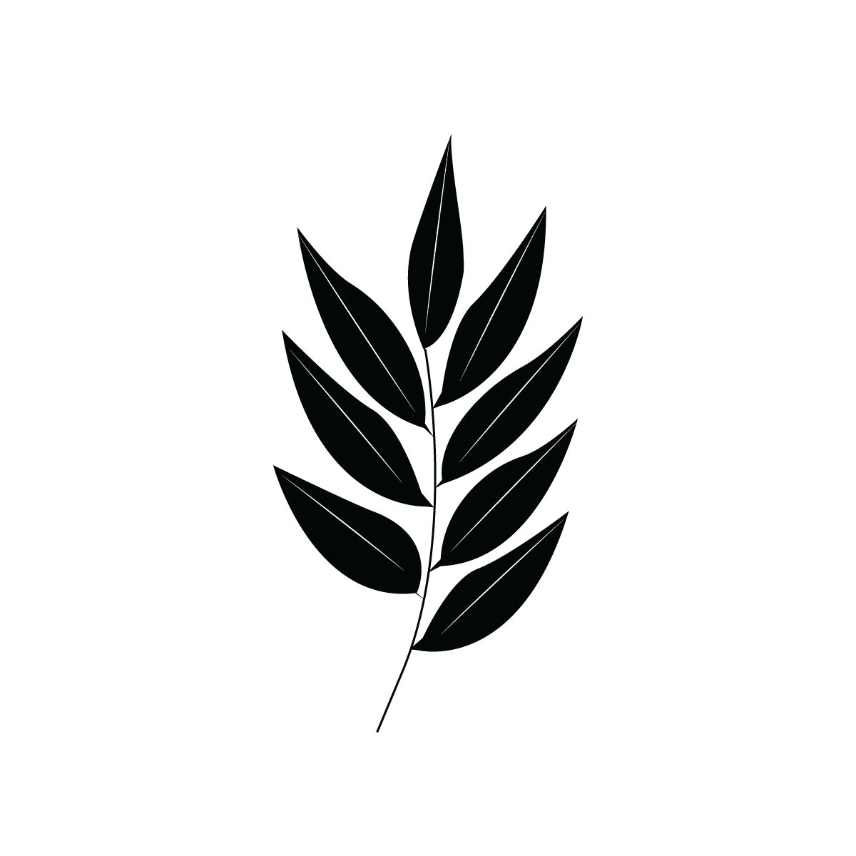 Brooklyn Curry Project