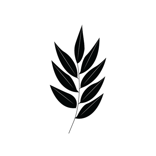 Brooklyn Curry Project