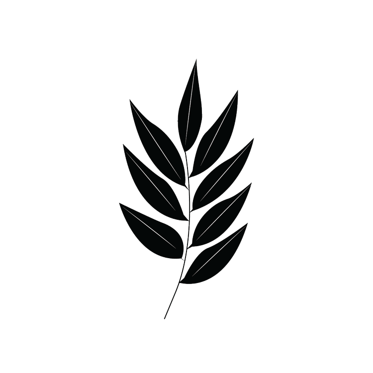 Brooklyn Curry Project