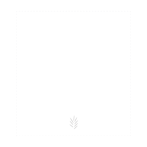 Menu — Brooklyn Curry Project