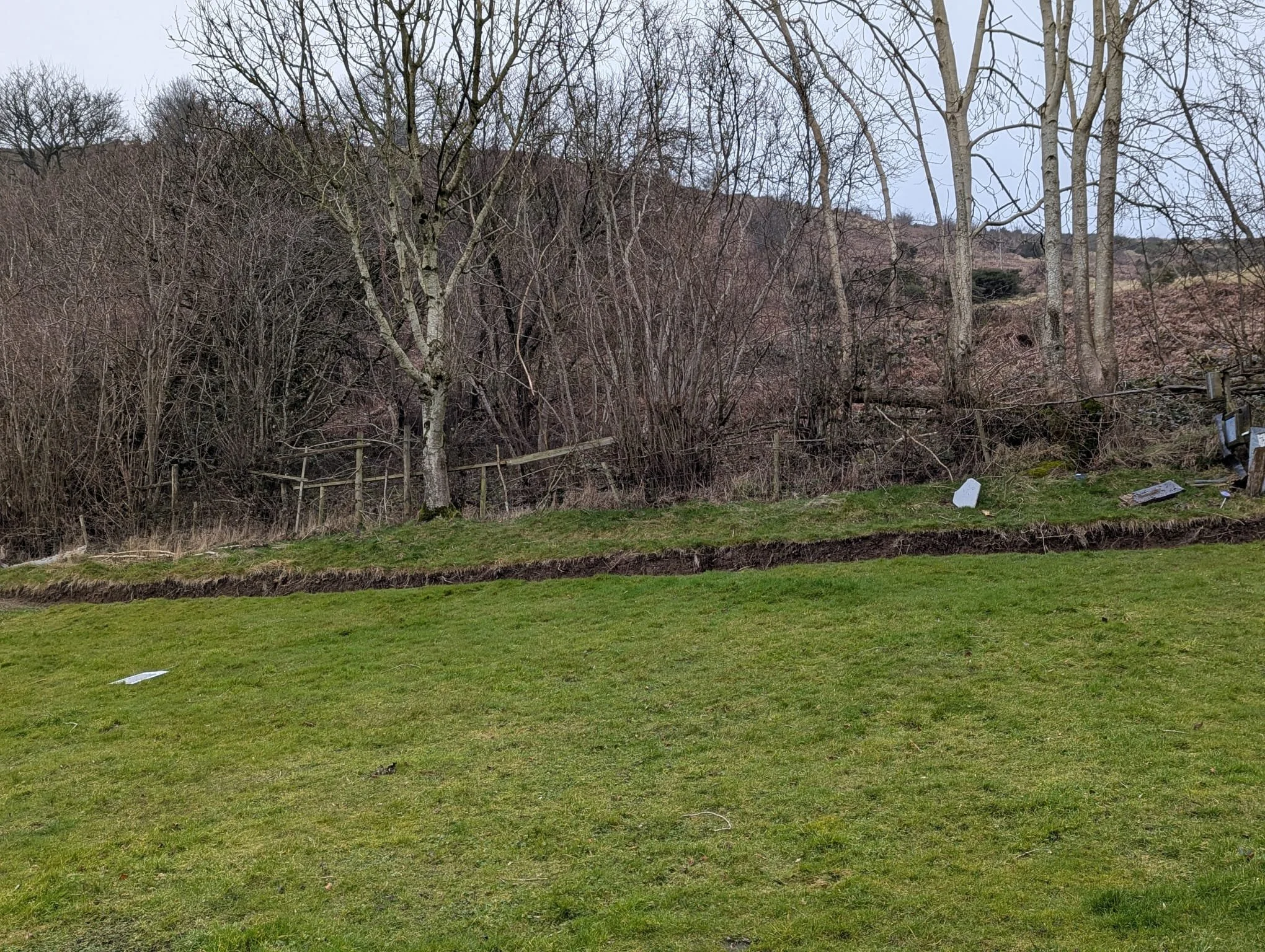 Our Hedge-Laying Courses and Why They Are Important. — Protect Earth